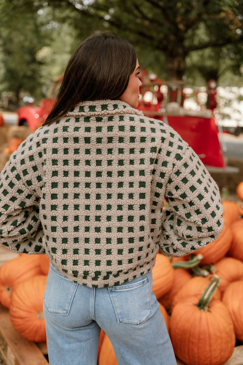 Nora Taupe & Green Shearling Plaid Jacket - Lizard Thicket