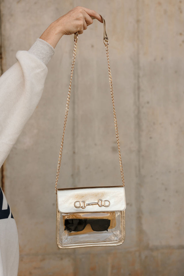 Rowan Clear & Gold Purse - Lizard Thicket