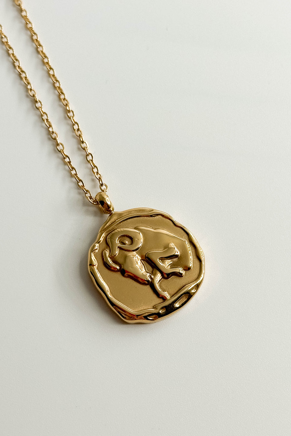 Zodiac Gold Coin Necklace - Lizard Thicket
